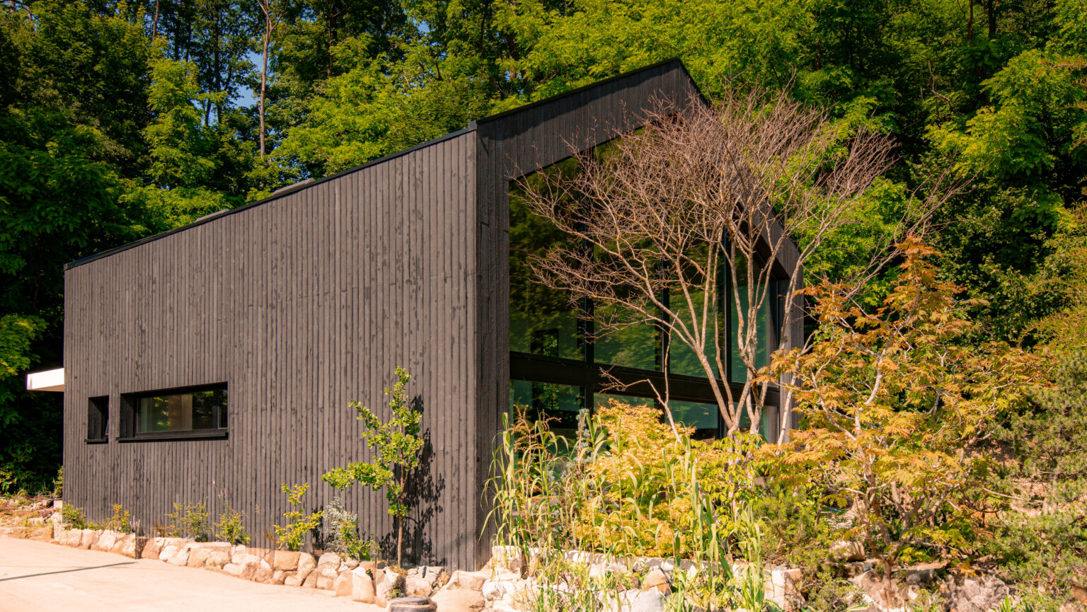Yakisugi facade | Nakamoto Forestry Portfolio in Europe